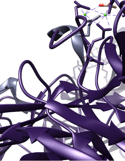 Research – Peyton Lab